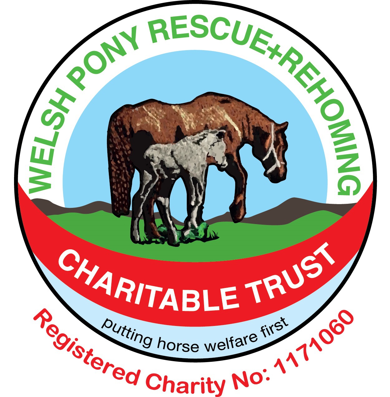 Welsh Pony Rescue and Rehoming Charitable Trust - Horse/Ponies looking ...